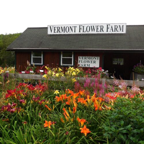 The Vermont Flower Farm Nursery & Gardens- Marshfield, Vermont